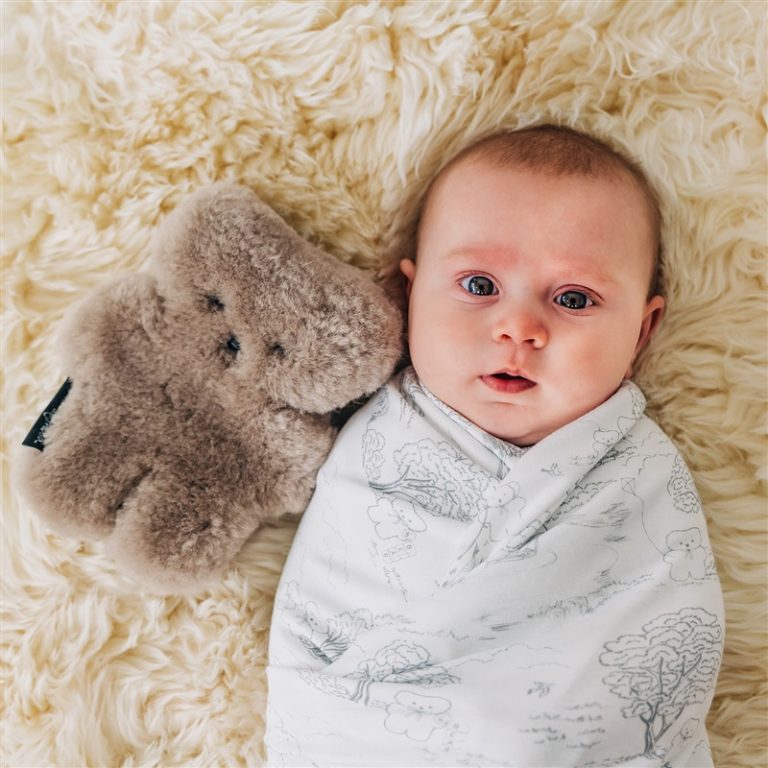 FLATOUTbear Baby Rosie